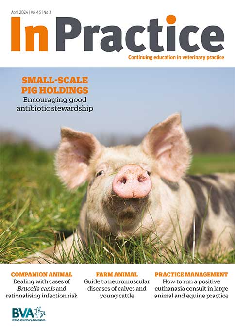 Wiley Edition Filter for BVA Online 3D eBooks