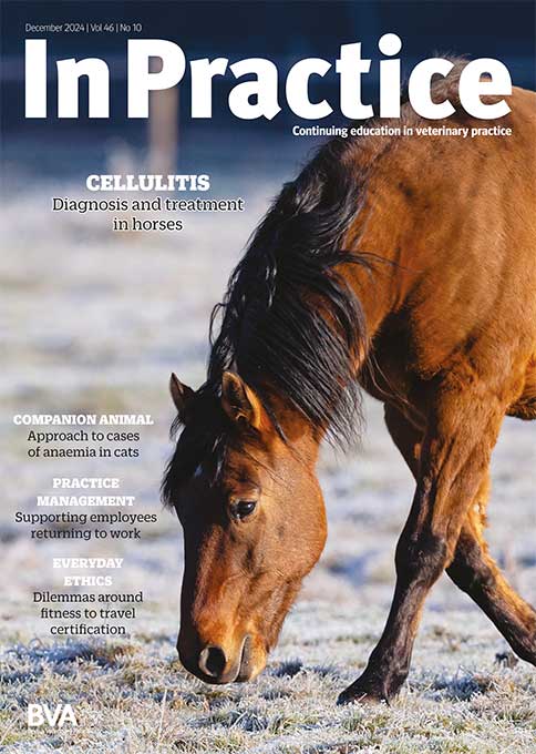 Wiley Edition Filter for BVA Online 3D eBooks