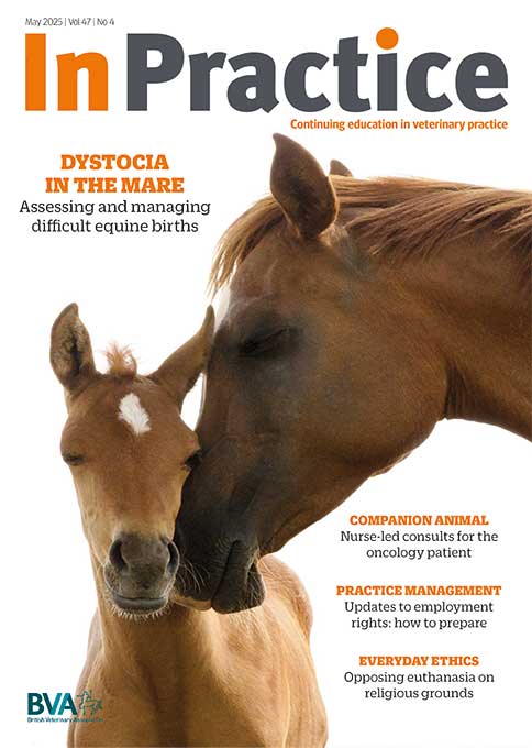 Wiley Edition Filter for BVA Online 3D eBooks